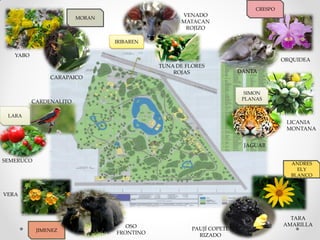 Paisajismo parque zoologico y botanico bararida | PDF