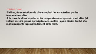 Paisatge equatorial 1 a | PPT