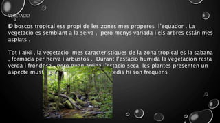 Paisatge tropical 1 a | PPT