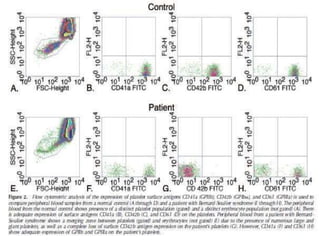 Paithankar Adwait 7610 m2a BSS Hemat.pptx
