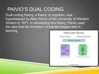 Paivio’s dual coding 1 min powerpoint | PPTX
