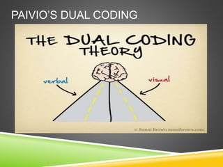 Paivio’s dual coding 1 min powerpoint | PPTX | Science
