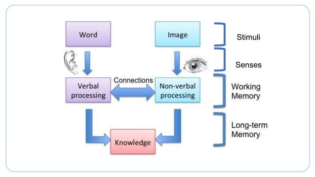 Paivios's dual coding theory | PPTX