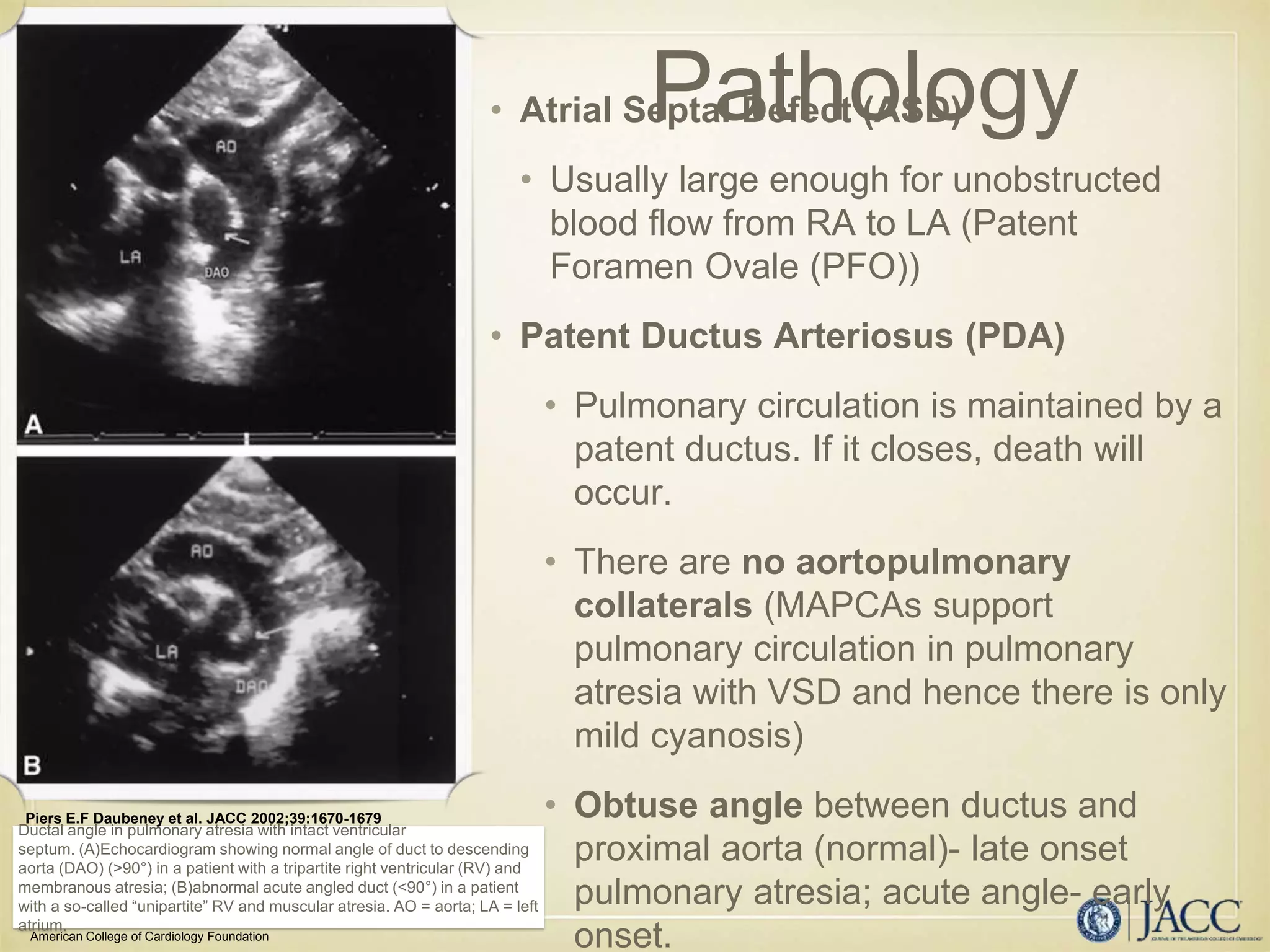 PA/IVS - Dr. Julius King Kwedhi | PPTX