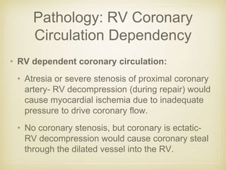 PA/IVS - Dr. Julius King Kwedhi | PPTX