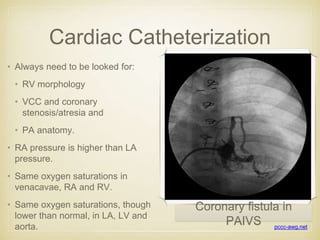 PA/IVS - Dr. Julius King Kwedhi | PPTX