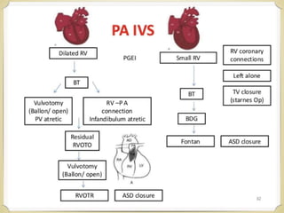 PA/IVS - Dr. Julius King Kwedhi | PPTX