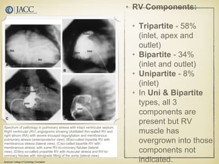 PA/IVS - Dr. Julius King Kwedhi | PPTX