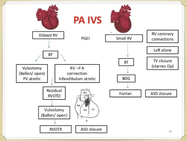 PA/IVS - Dr. Julius King Kwedhi