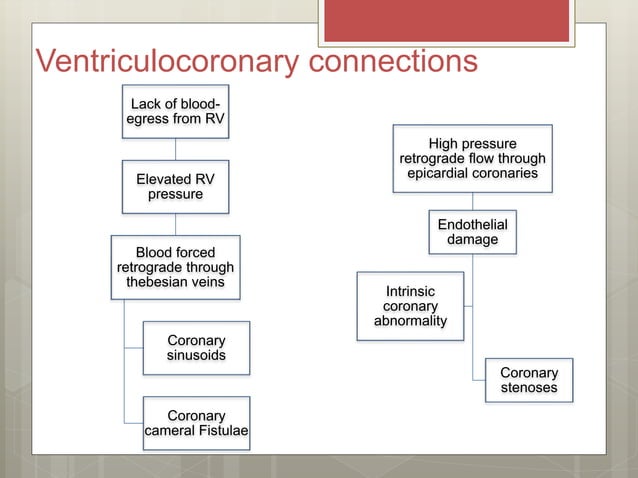 Pulmonary atresia with intact interventricular septum management | PPTX ...