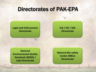 Pak epa Job ad presentation | PPTX