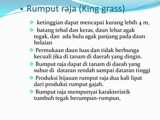 Pakan dan Hijauan kambing | PPTX