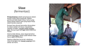 Pakan Hijauan Agribisnis Ternak Ruminansia | PPTX