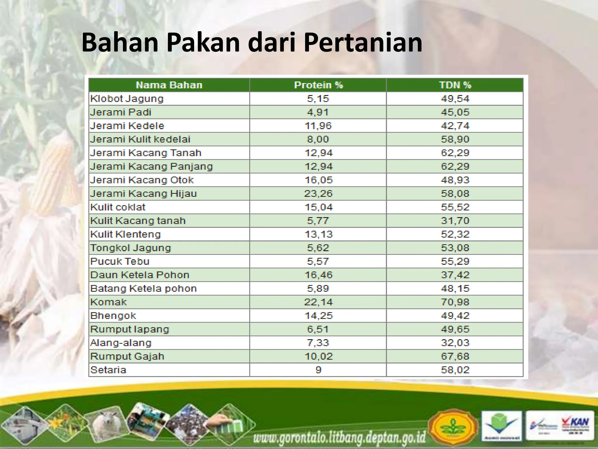 Pakan_Ruminansia.pptx