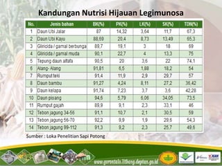 Pakan_Ruminansia.pptx