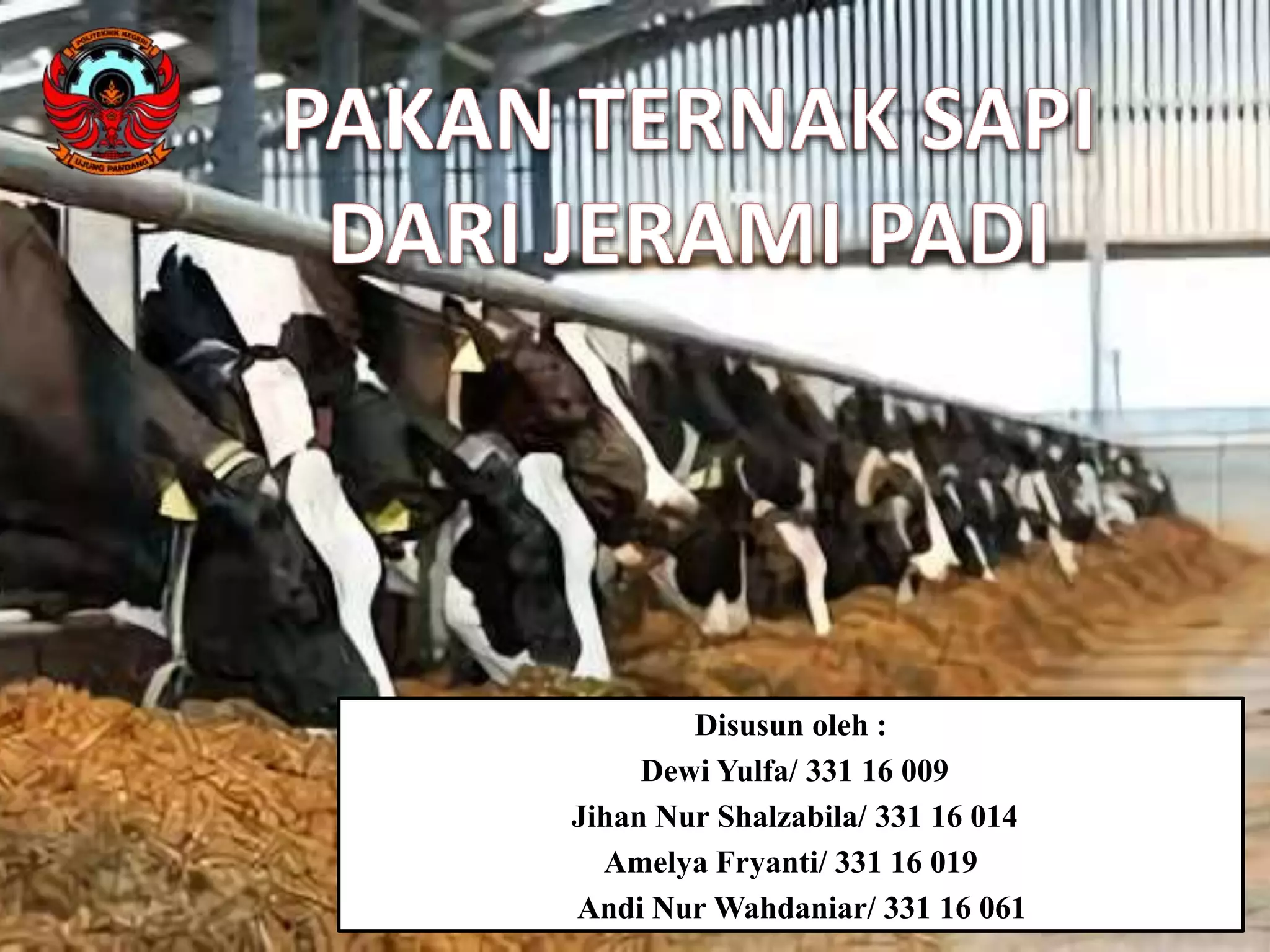 PAKAN TERNAK SAPI DARI JERAMI PADI | PPTX
