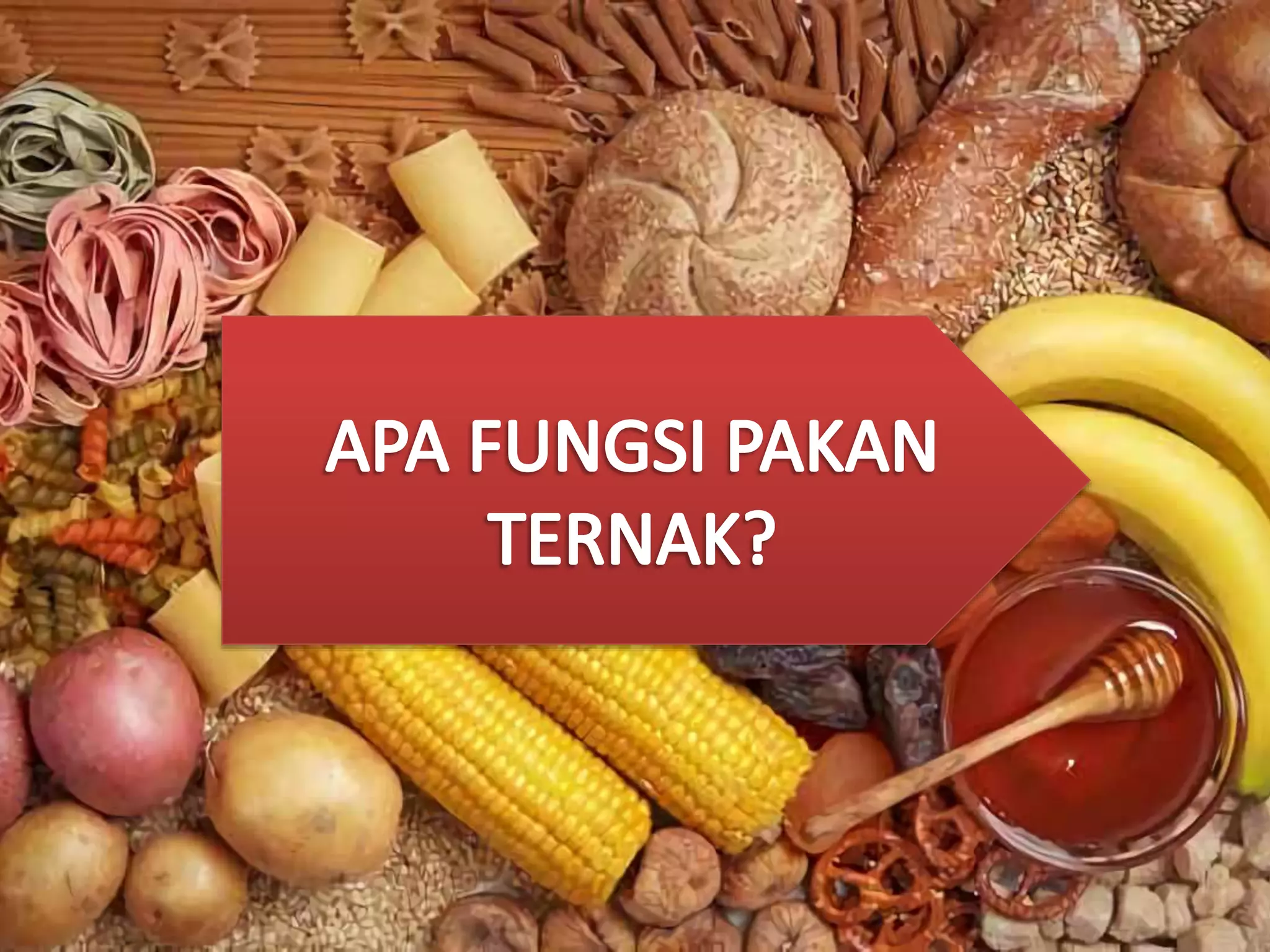 PAKAN TERNAK SAPI DARI JERAMI PADI | PPTX