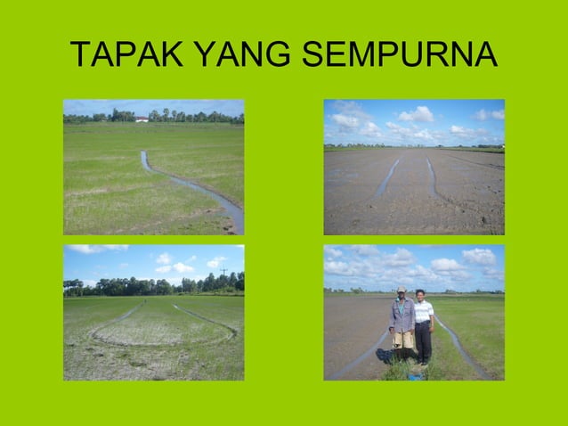 Pakej padi baja soil amendment dan foliar taaveekun part1 | PPT