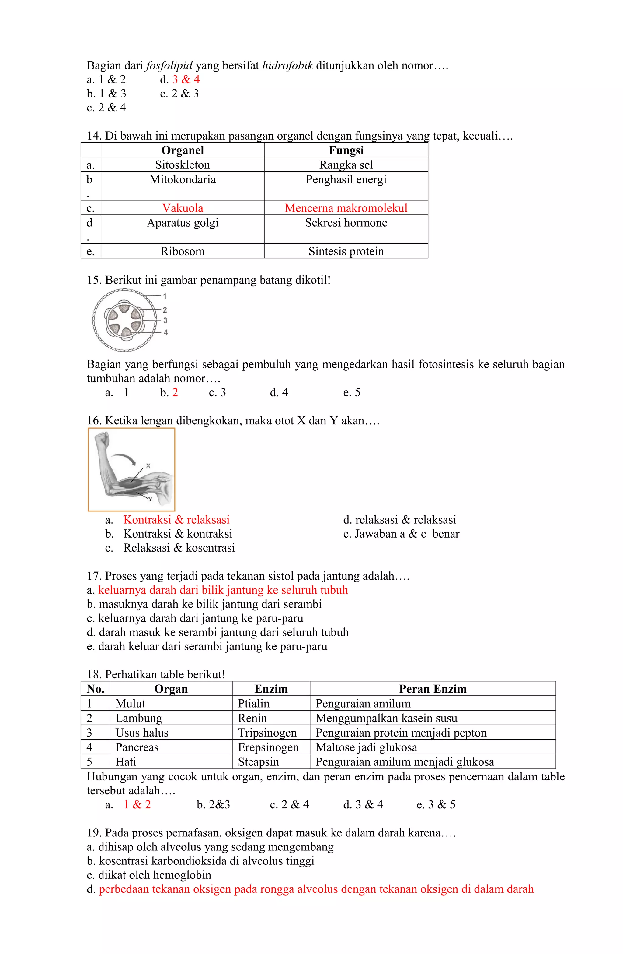 Contoh soal latihan biologi dan jawabannya | DOC