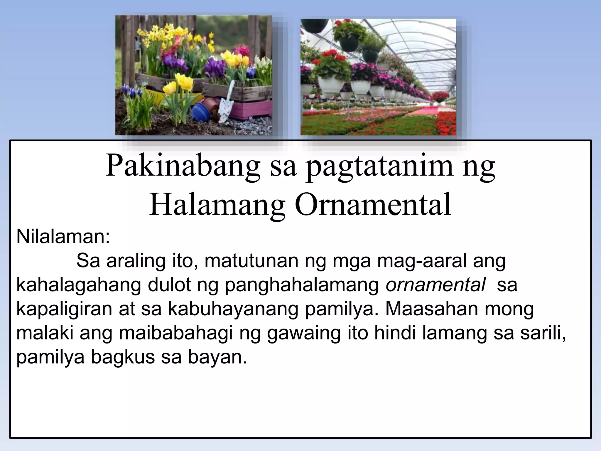 Pakinabang sa pagtatanim ng halamang ornamental plants | PPTX