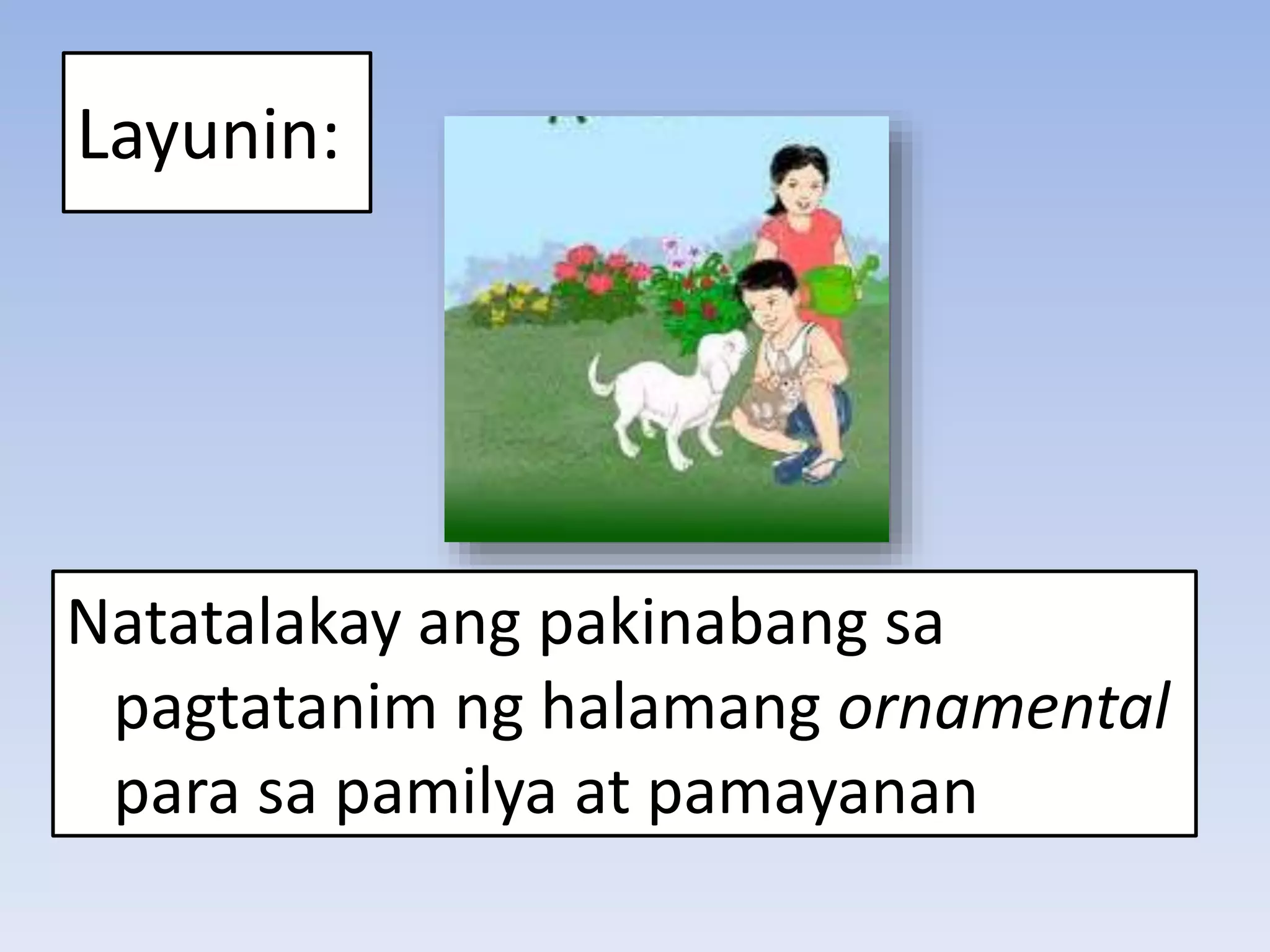 Pakinabang sa pagtatanim ng halamang ornamental plants | PPTX
