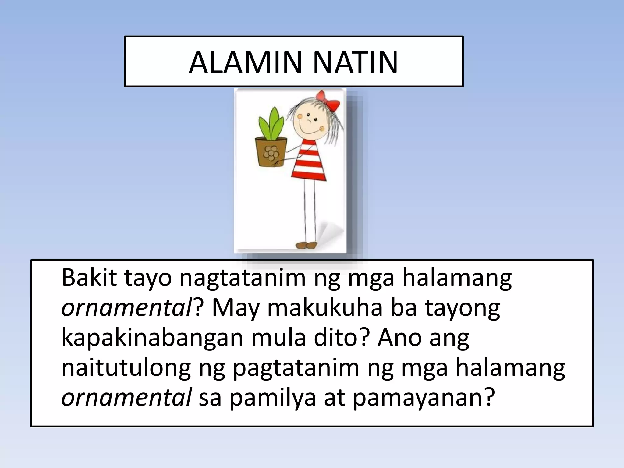 Pakinabang sa pagtatanim ng halamang ornamental plants | PPTX