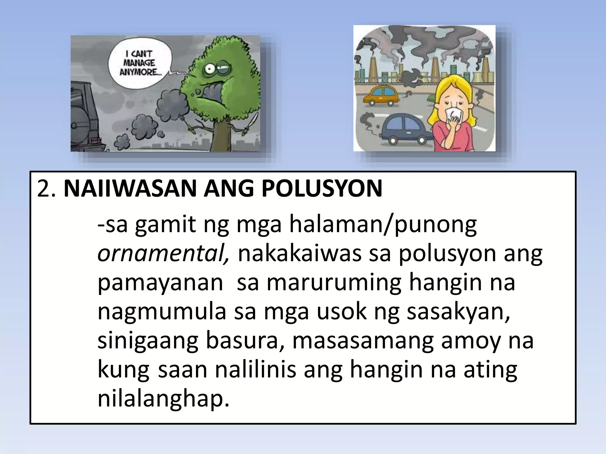 Pakinabang sa pagtatanim ng halamang ornamental plants | PPTX