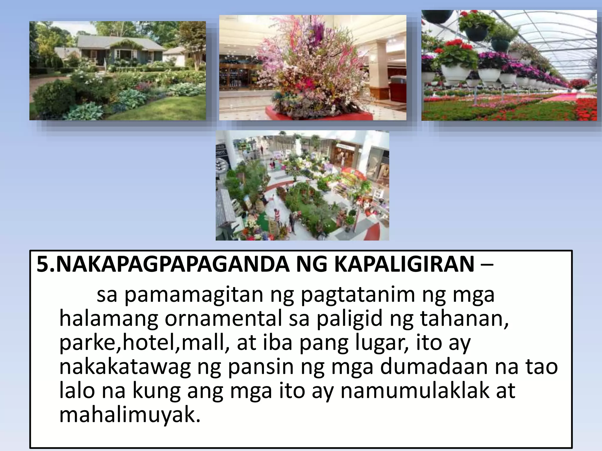 Pakinabang sa pagtatanim ng halamang ornamental plants | PPTX