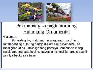 Pakinabang sa pagtatanim ng halamang ornamental plants | PPTX