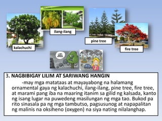 Pakinabang sa pagtatanim ng halamang ornamental plants | PPTX
