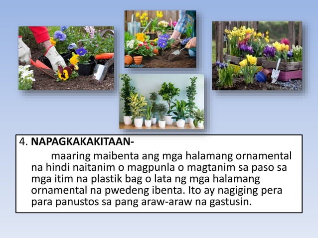 Pakinabang sa pagtatanim ng halamang ornamental plants | PPTX