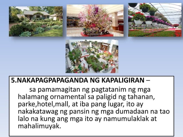 Pakinabang sa pagtatanim ng halamang ornamental plants | PPTX
