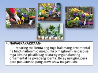 Pakinabang sa pagtatanim ng halamang ornamental plants | PPT