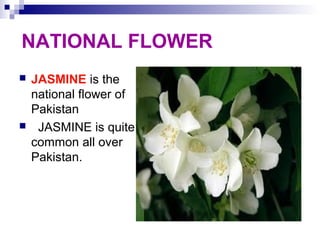 beauty of Pakistan | PPT