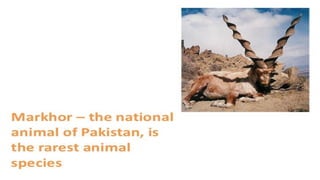 Pakistan | PDF