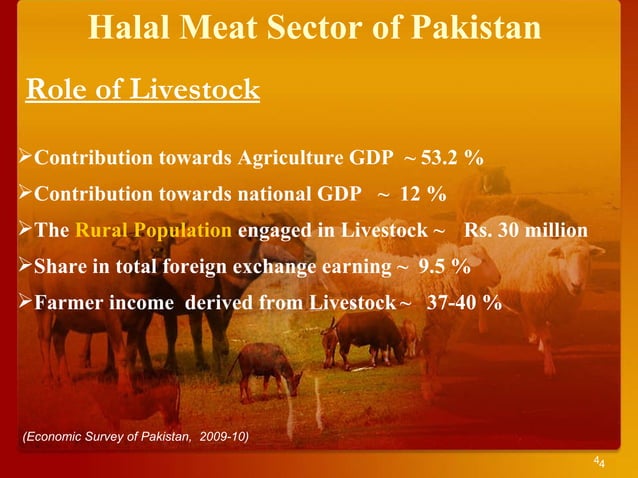 Pakistan halal meat sector challenges | PPT