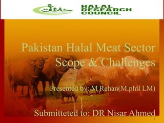 Pakistan Halal Meat Sector Scope & Challenges.ppt