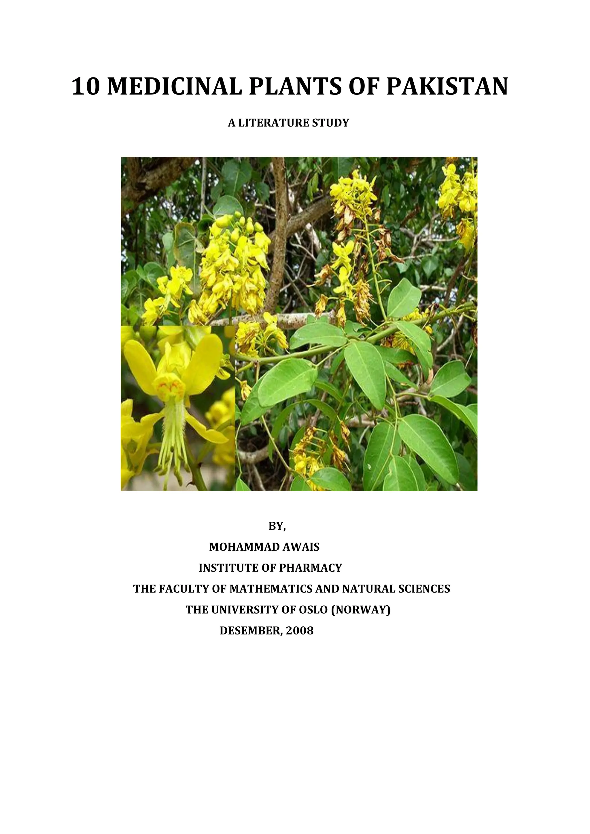 10 medicinal plants of Pakistan 1234567890 | PDF