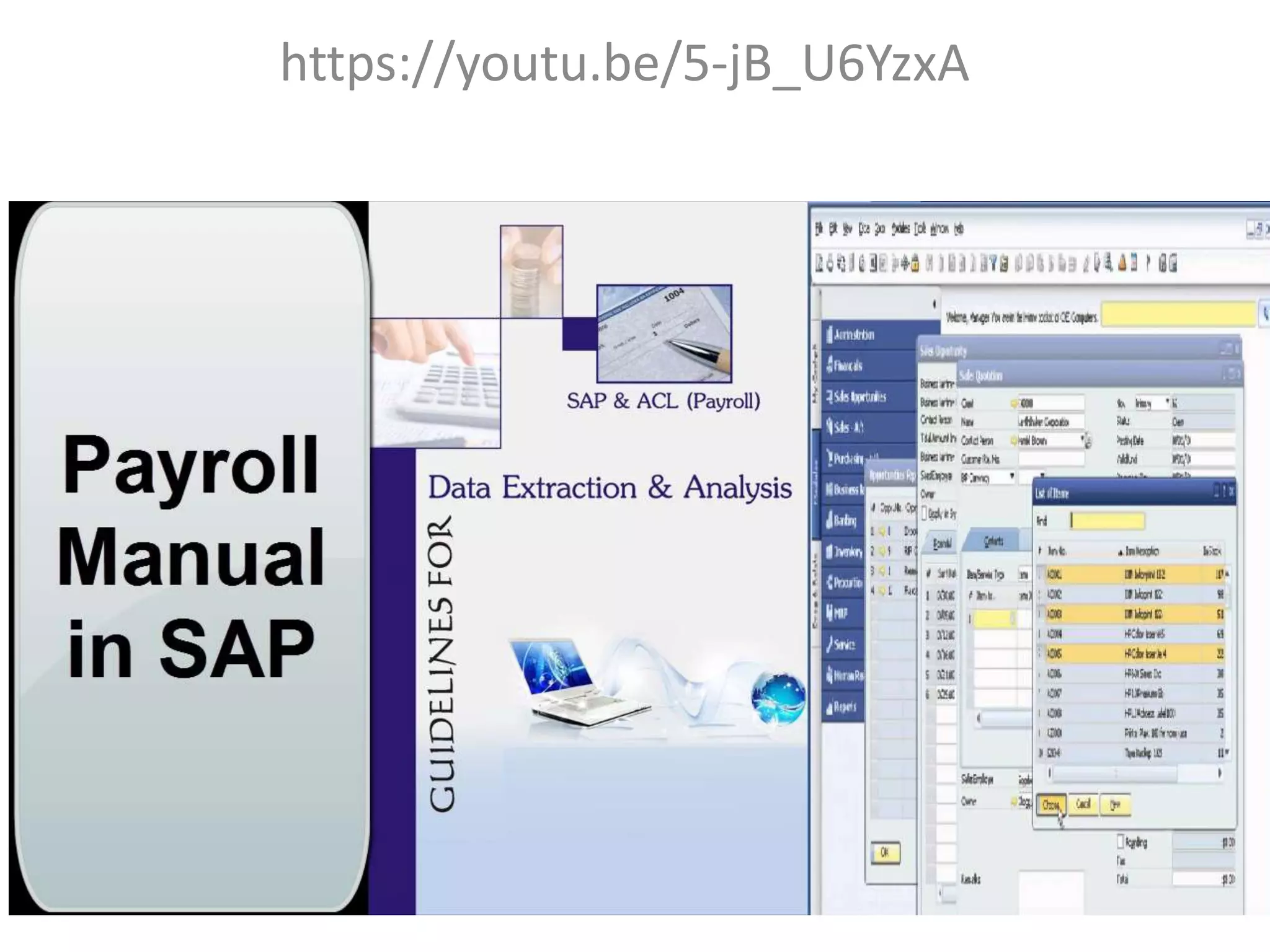 Payroll Manual in SAP | PPTX