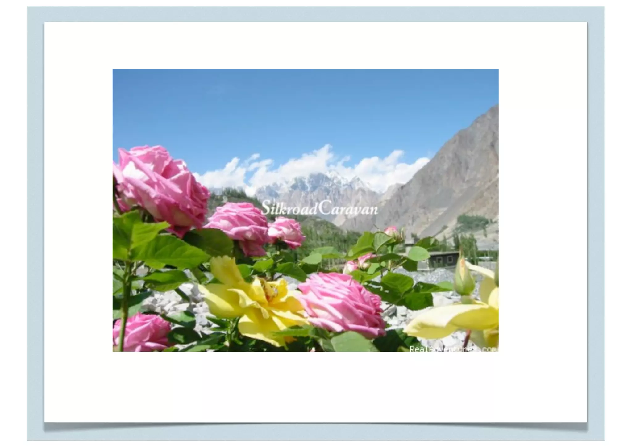 Pakistan presentation | PPT
