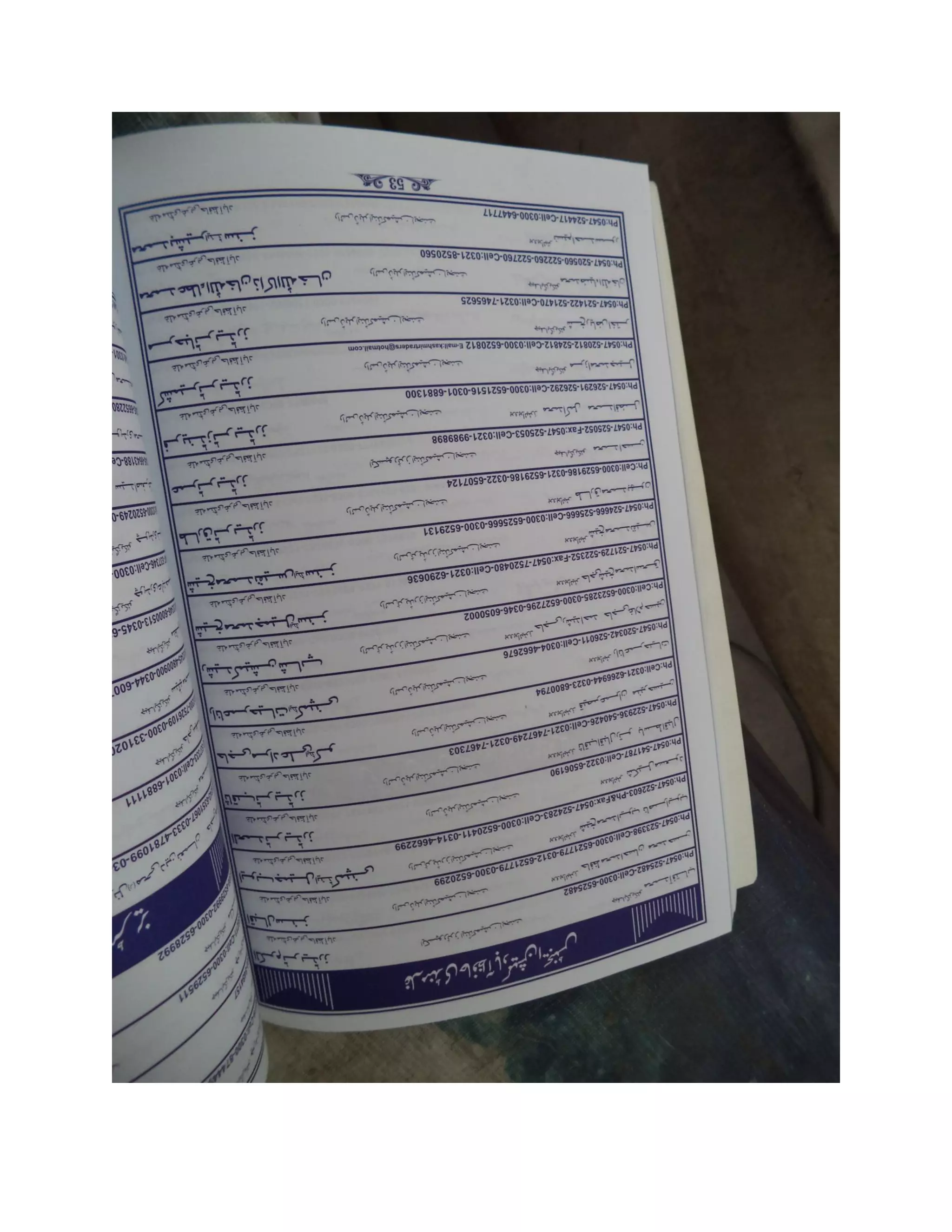 Pakistan Rice Industry Punjab.pdf