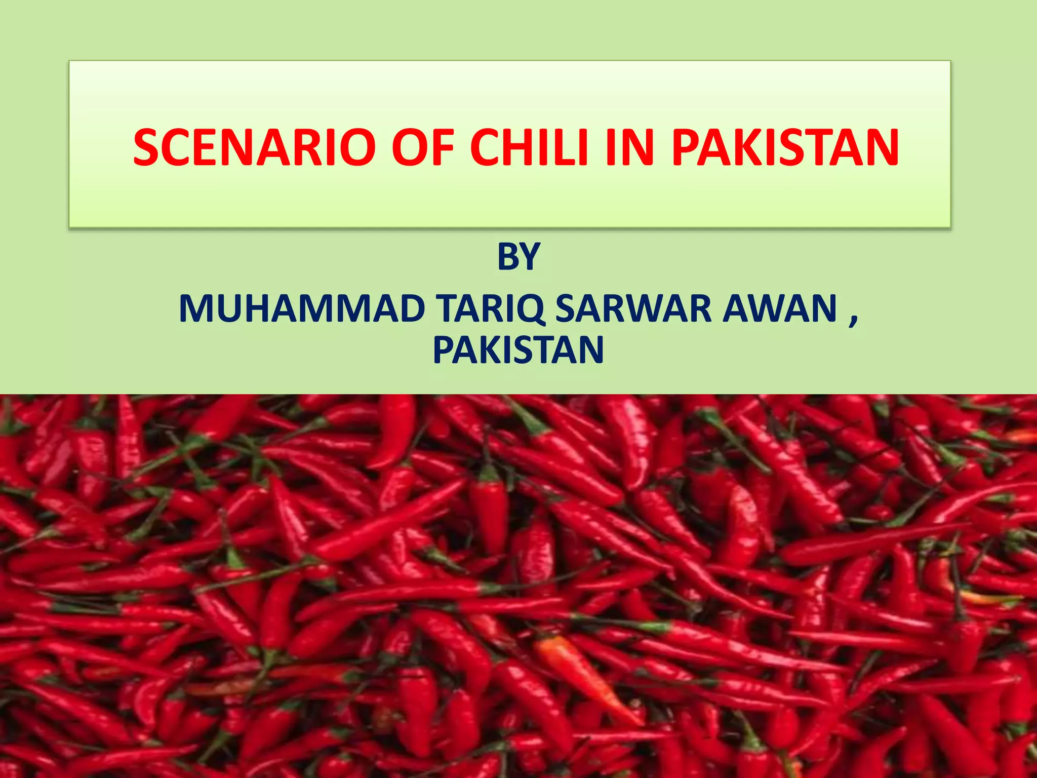 Pakistan chilli production scenario by Tariq Sarwar Awan, Food ...