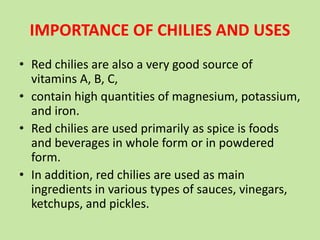 Pakistan chilli production scenario by Tariq Sarwar Awan, Food ...