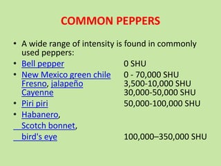 Pakistan chilli production scenario by Tariq Sarwar Awan, Food ...