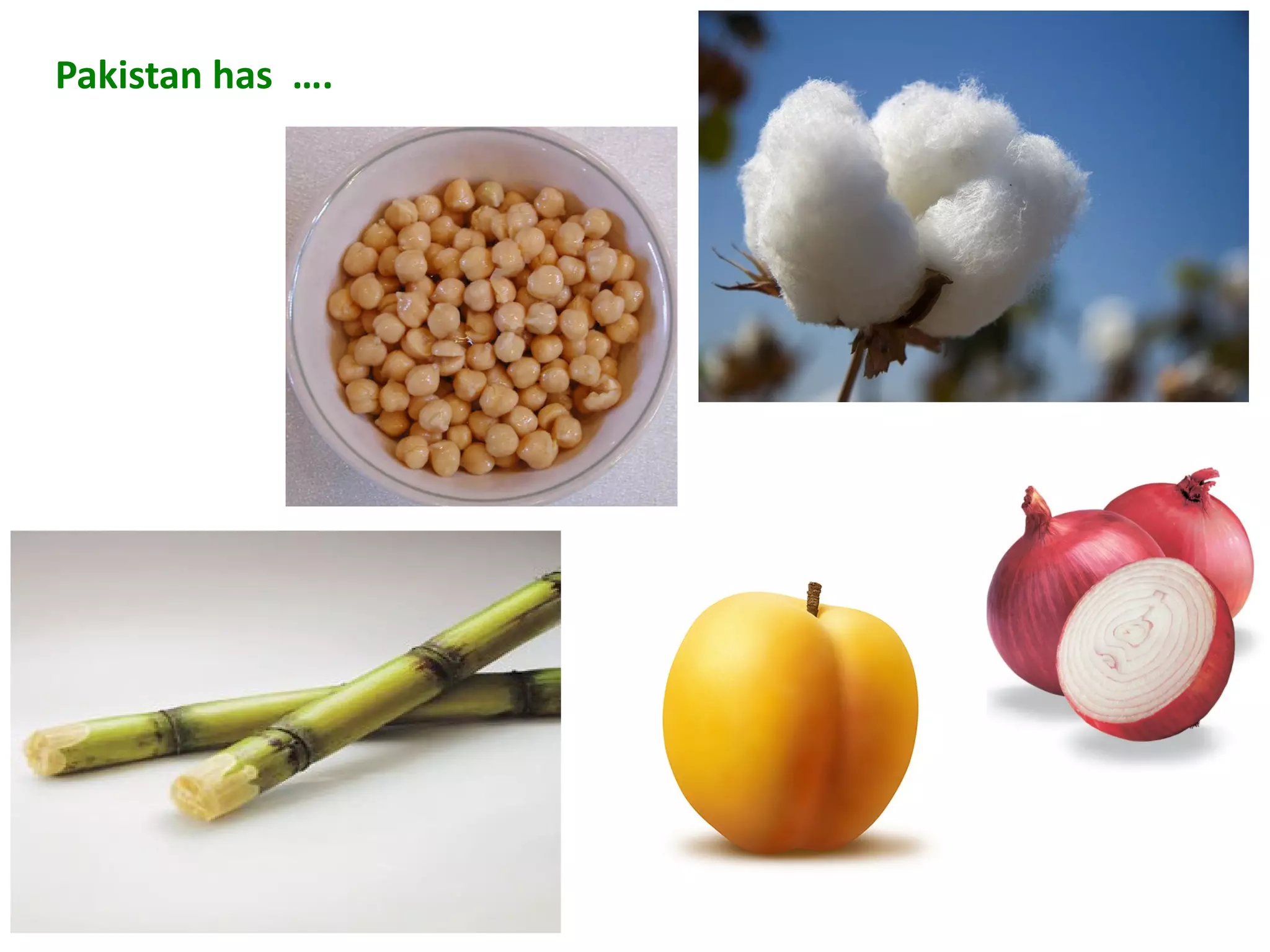 Introduction to Pakistan | PDF