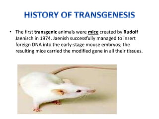 transgenic animals | PPTX | Reproductive Health | Diseases and Conditions