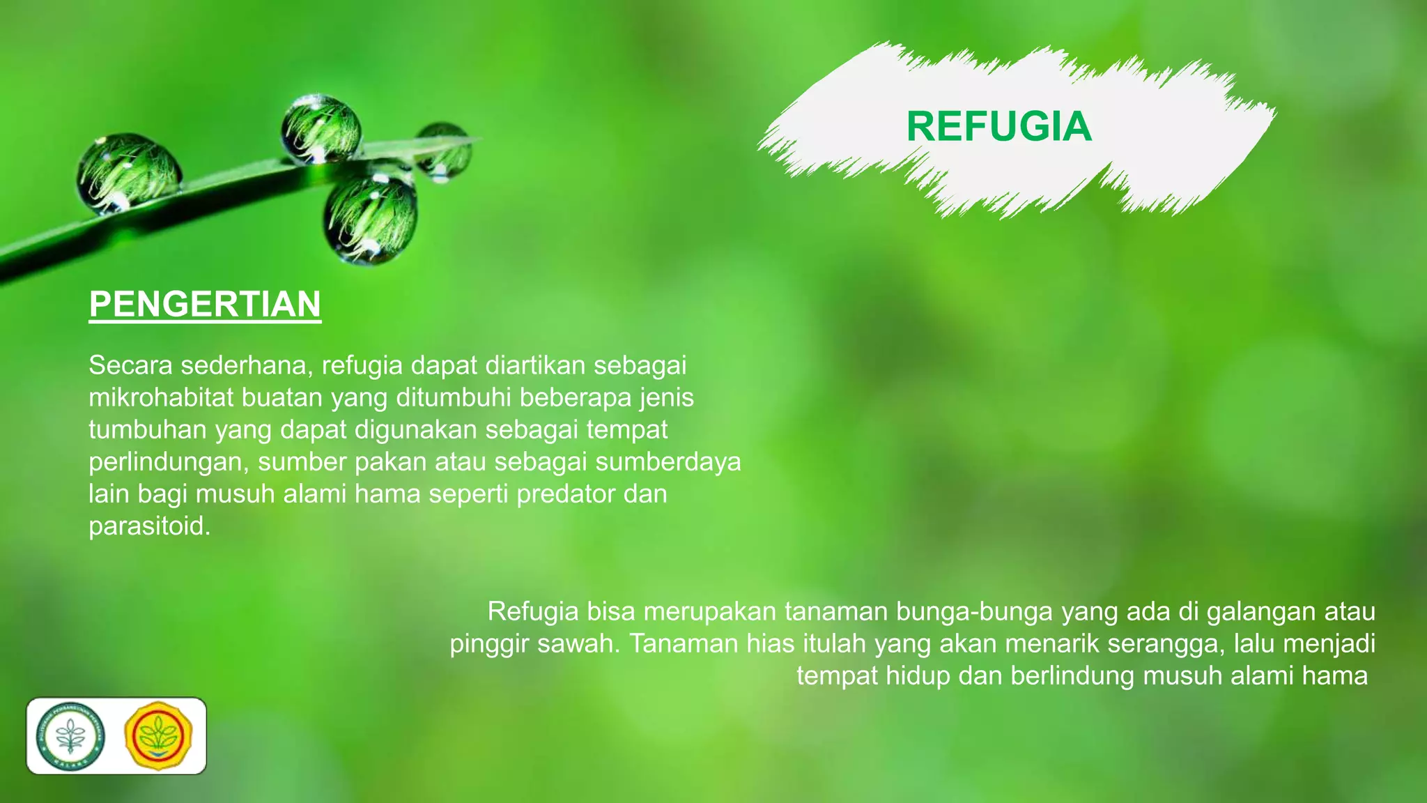 REFUGIA | PPTX