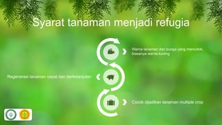 REFUGIA | PPTX