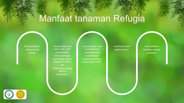 REFUGIA | PPTX