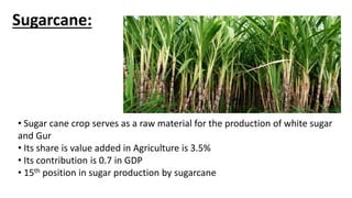 Agriculture Sector of Pakistan | PPTX